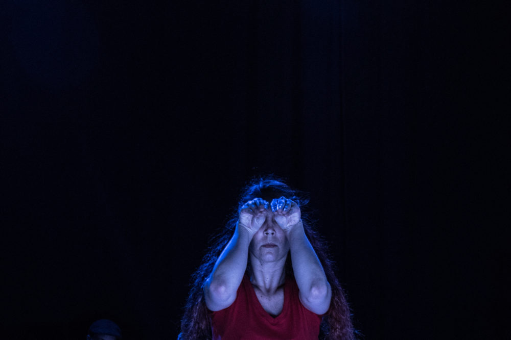 Deborah Slater Dance Theater | The Art of Human (e)Motion